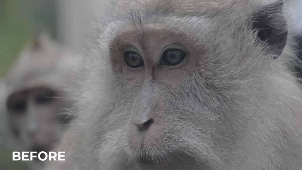 Orange & Teal Cine LUTs - eXlima