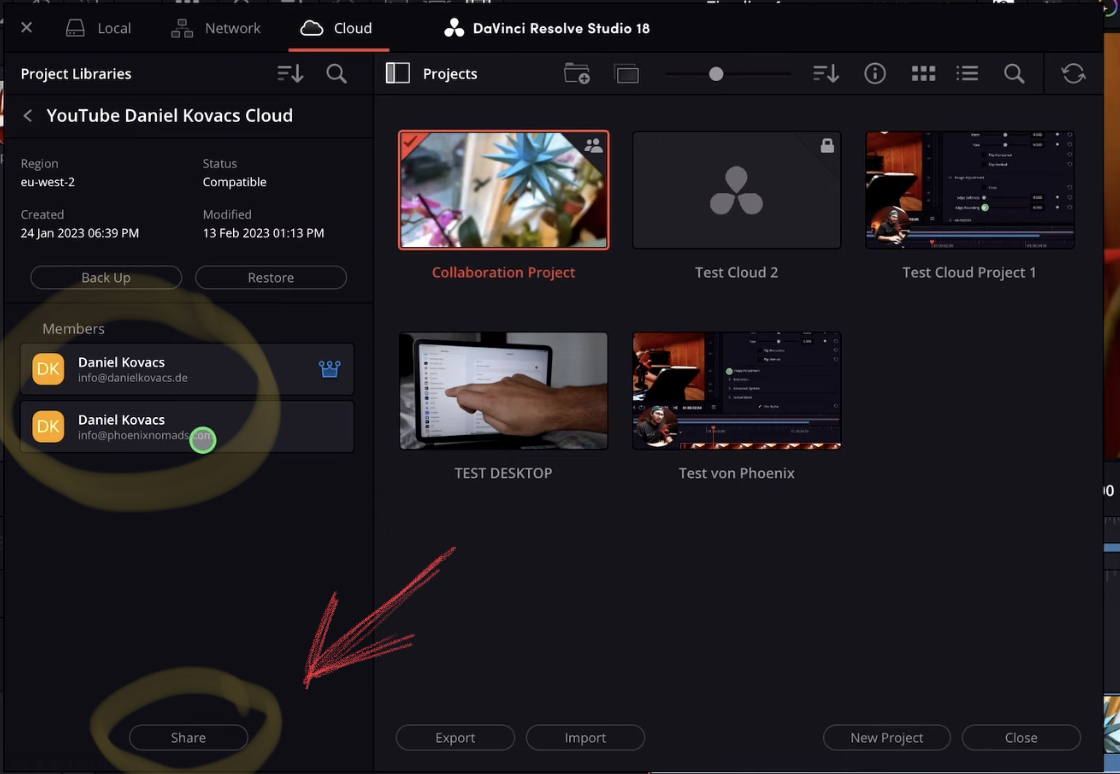 Multiple User Collaboration in DaVinci Resolve iPad
