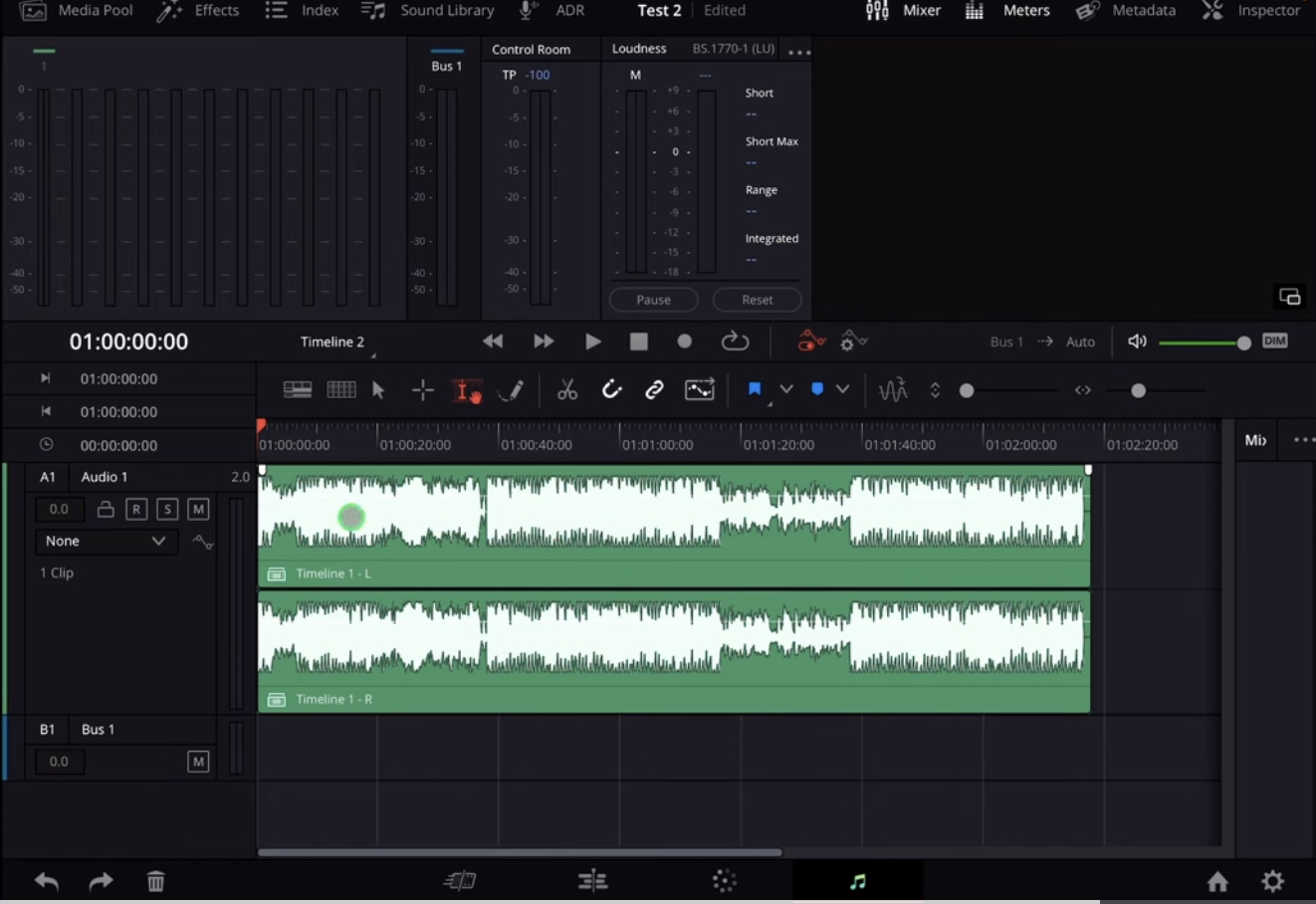 EASY SCALE WAVEFORM in DaVinci Resolve iPad